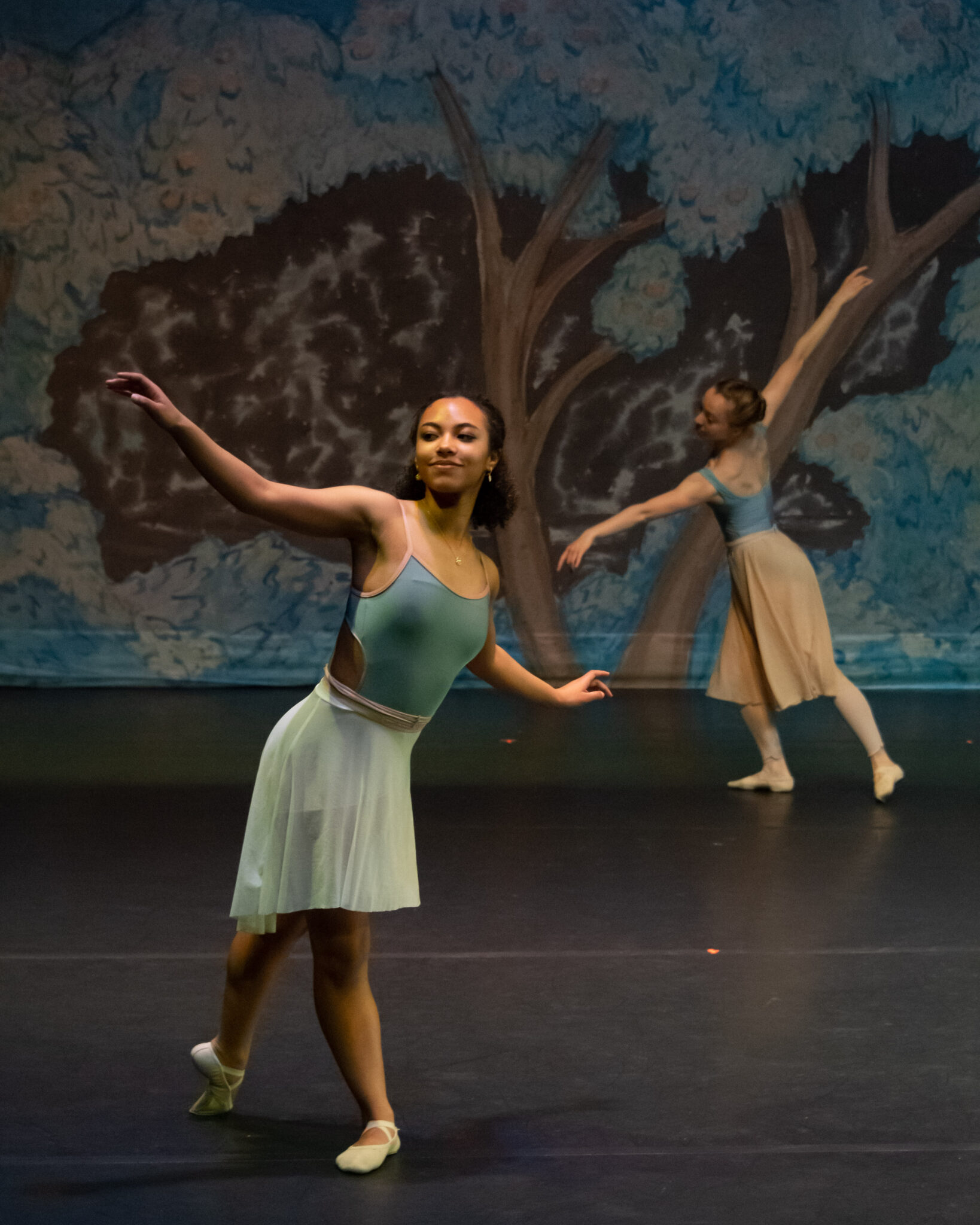 Photo Gallery - Huntsville Ballet